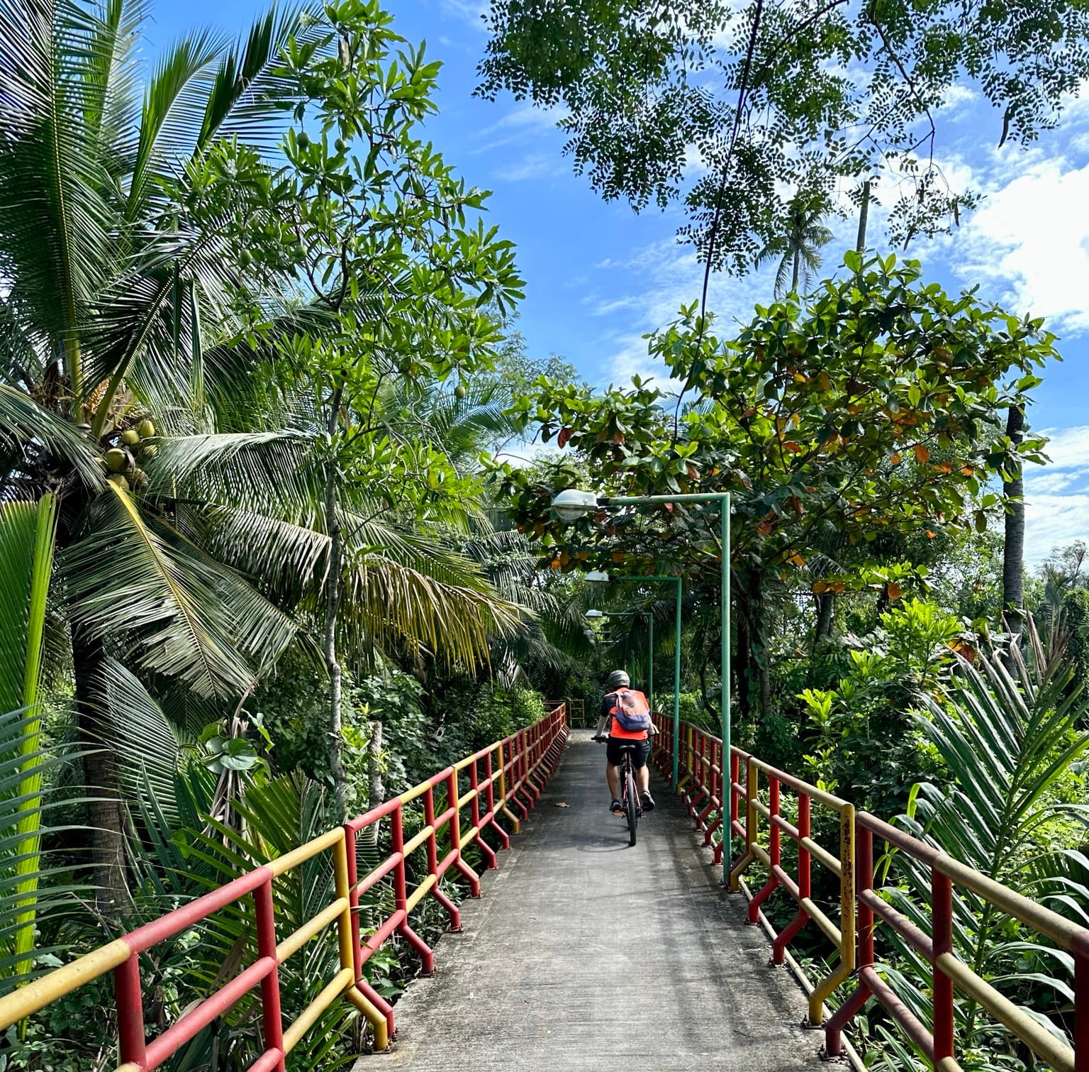 Cycle in Bangkok's 'Green Lung' Tour, Thailand - Experience Travel Group