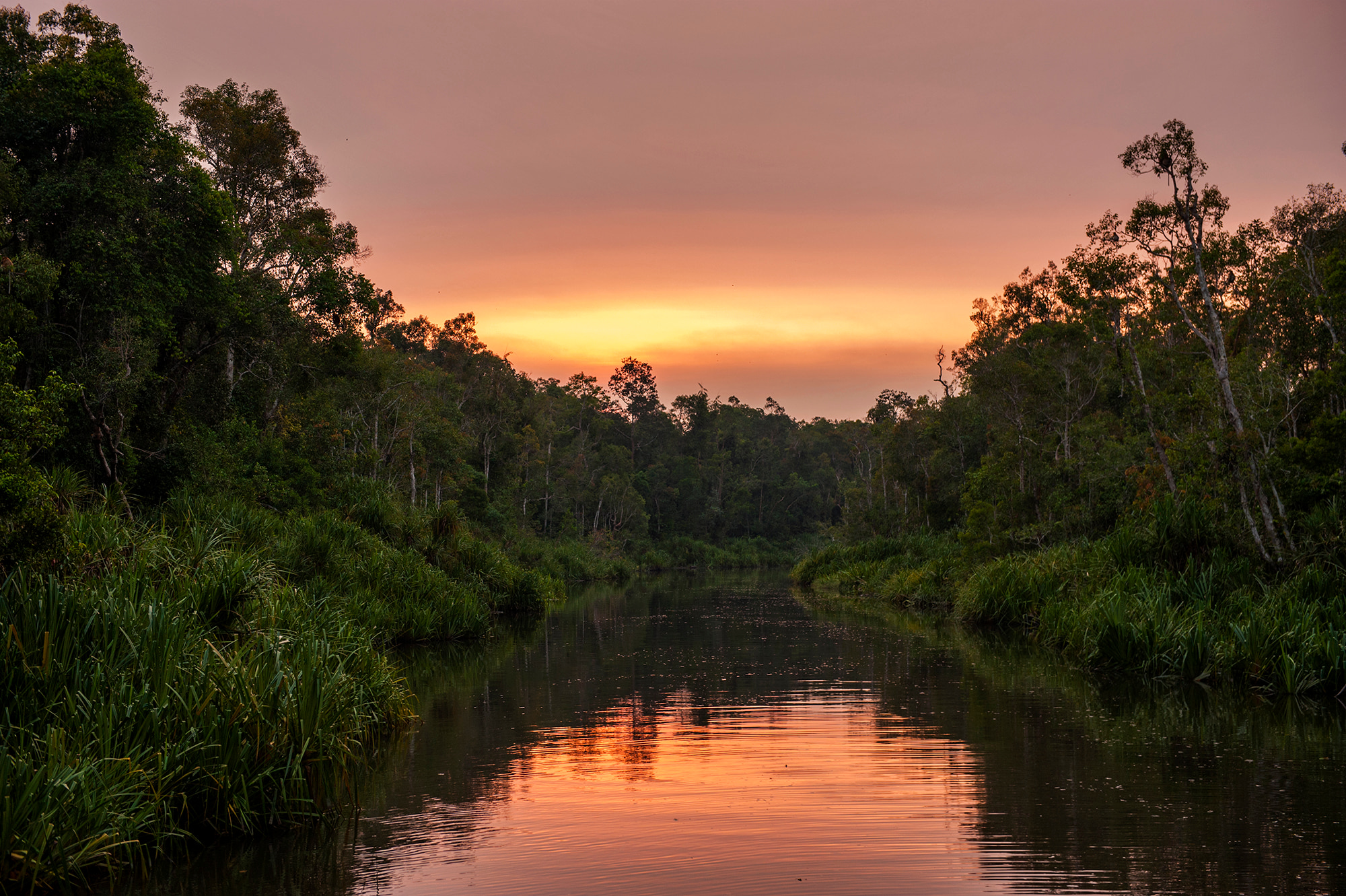 17 facts You Didn't Know About Borneo - Experience Travel Group
