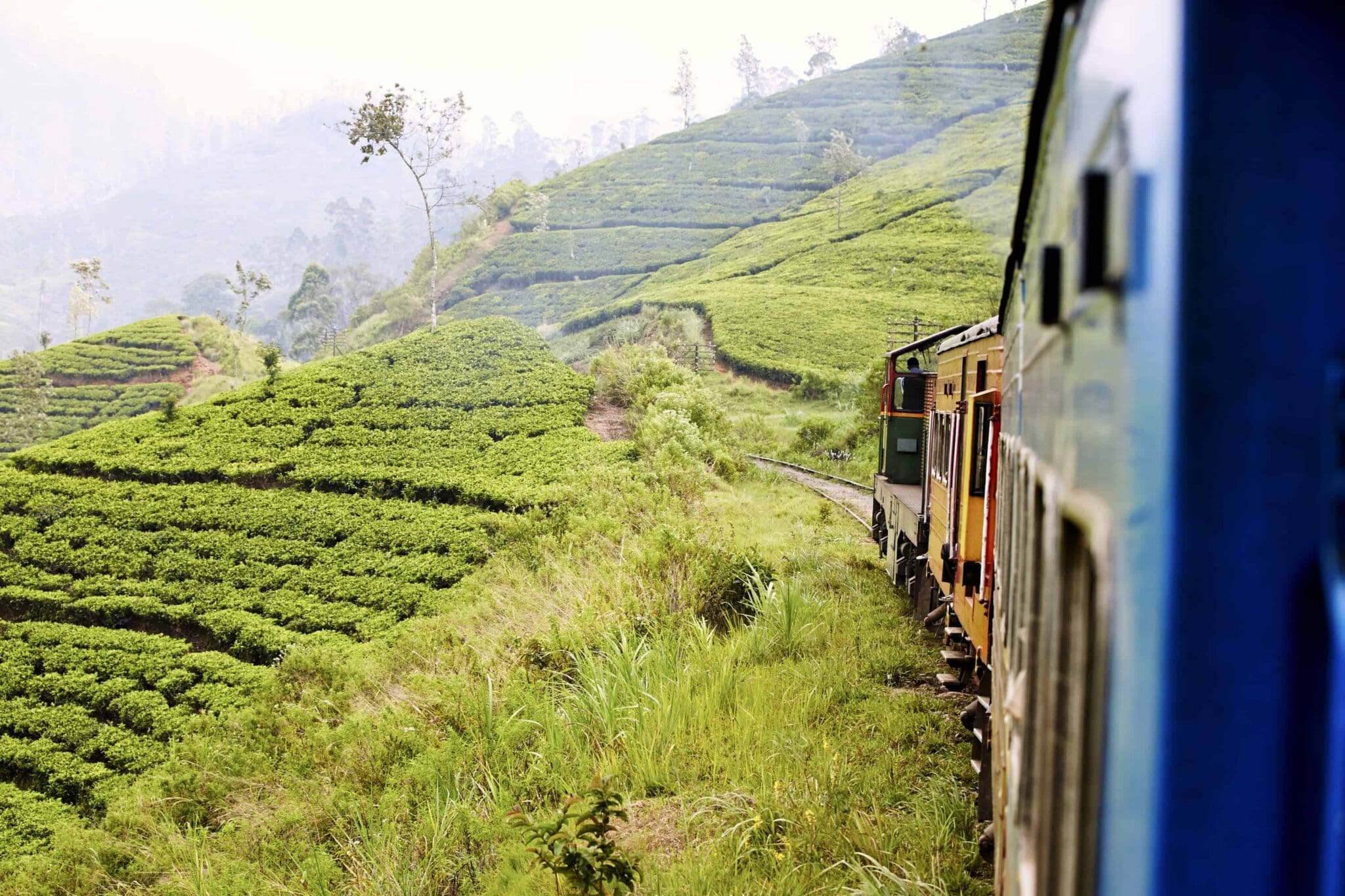 How to Ride the Ella Odyssey Train - Experience Travel Group